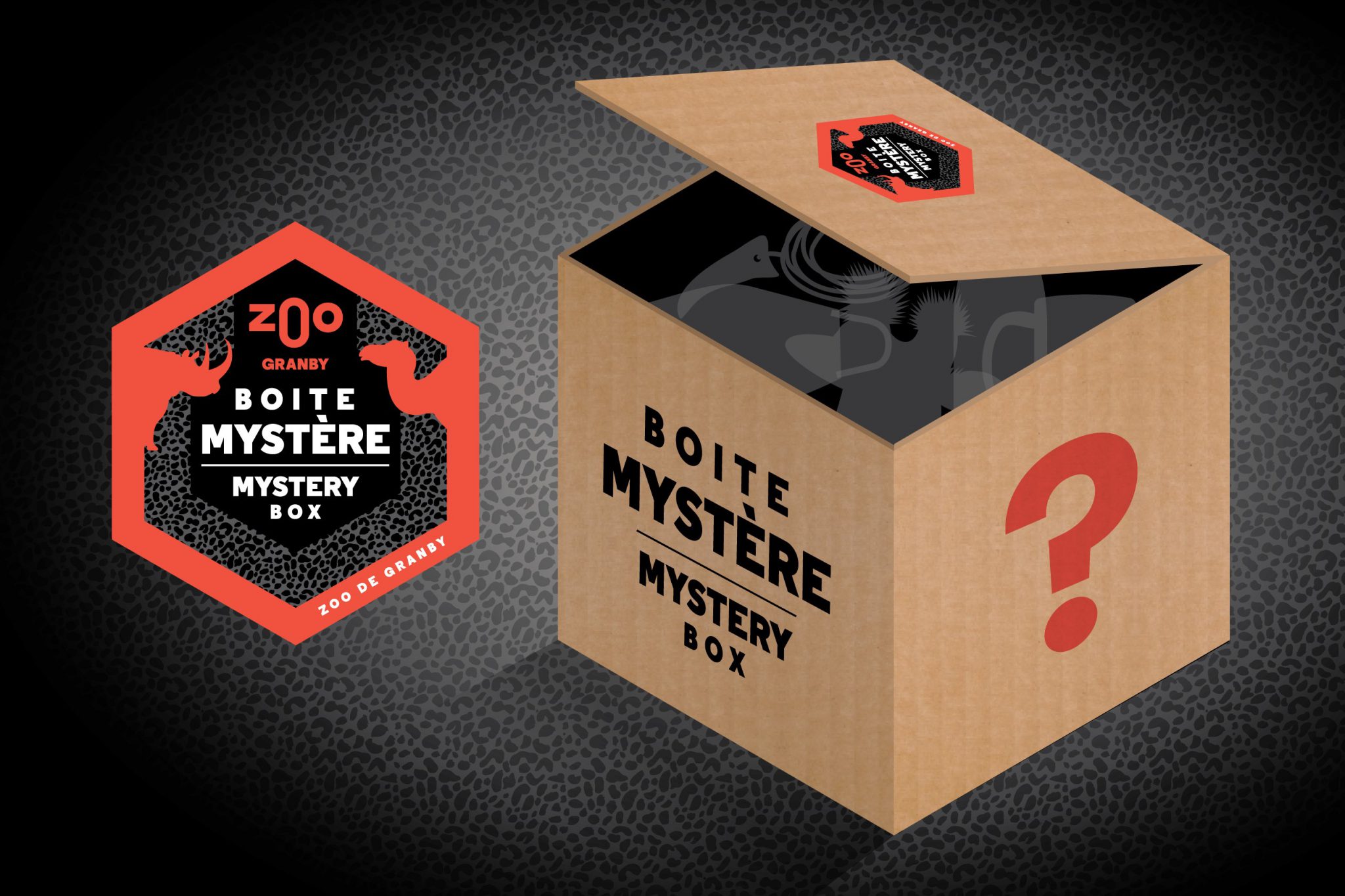Boîte mystère – enfant 3 à 8 ans - Boutique du Zoo de Granby