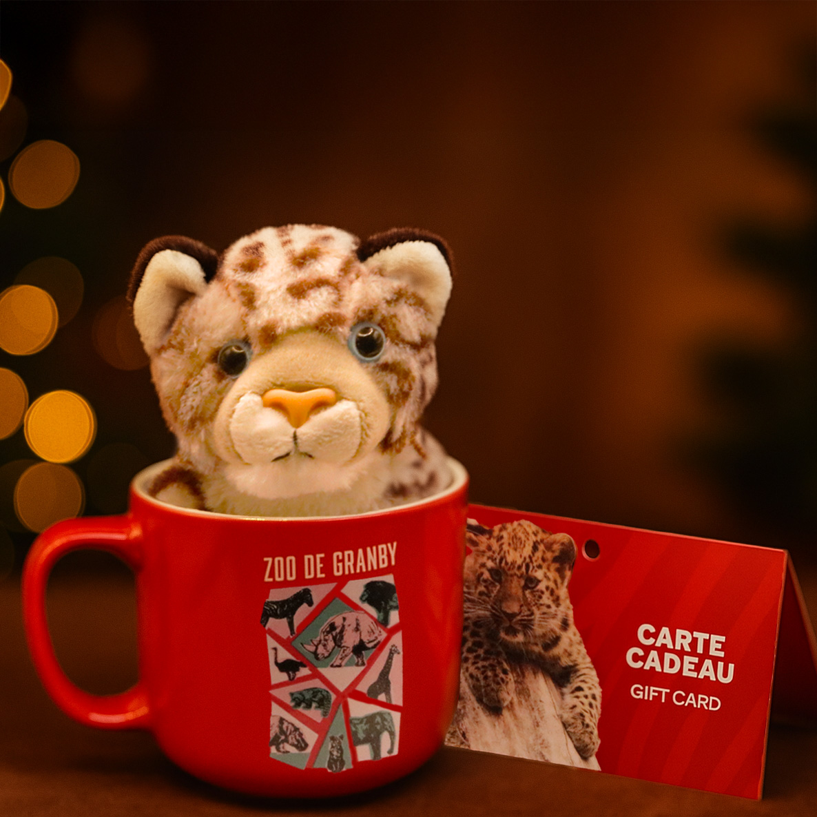 Snow Leopard Gift Pack - Boutique du Zoo de Granby