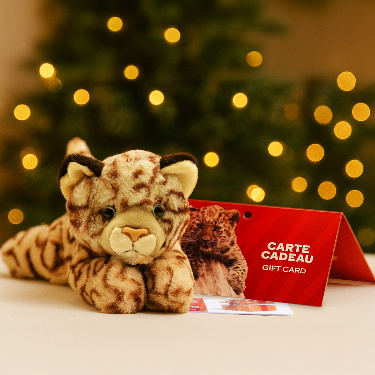 Snow Leopard Gift Pack - Boutique du Zoo de Granby